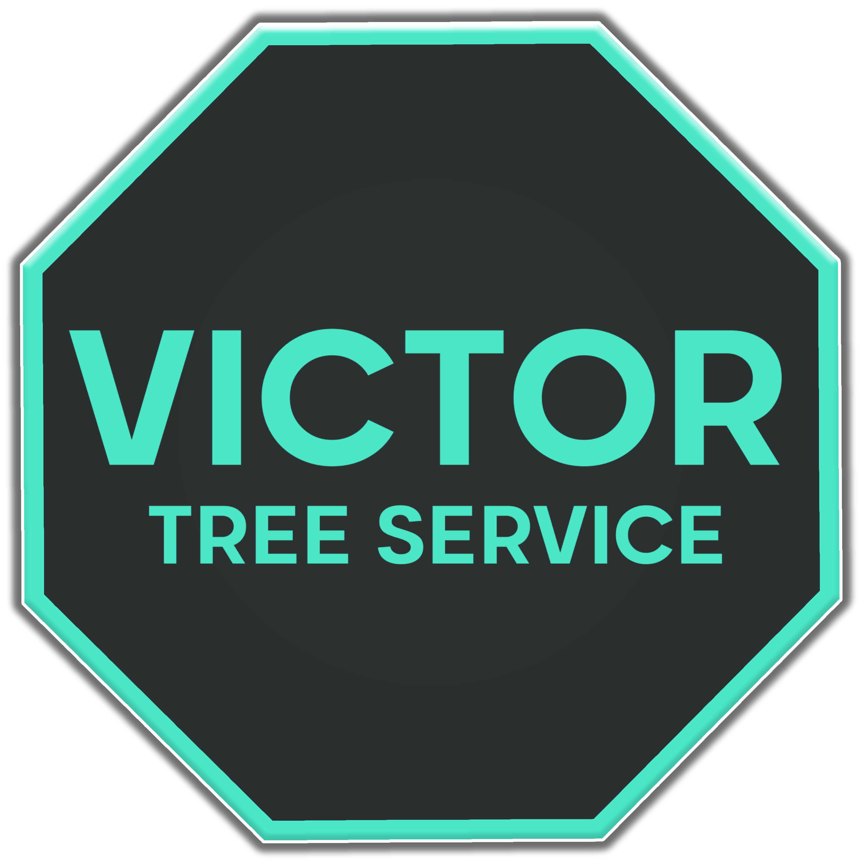 Victor Tree Service is a Tree Company in East Palo Alto, CA 94303
